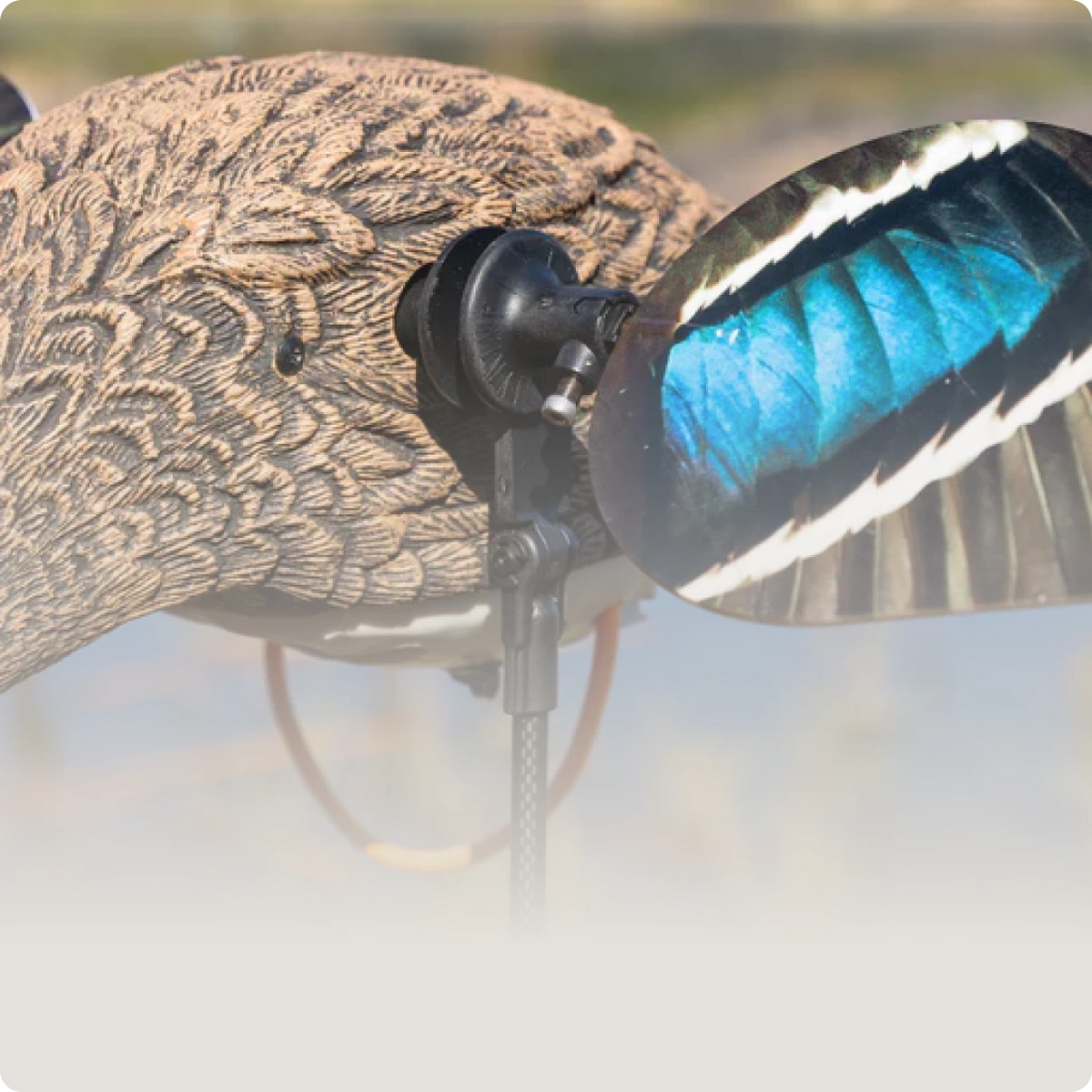 Animators for Lucky Duck™ Decoys – THE ANIMATOR | Waterfowl Motion ...