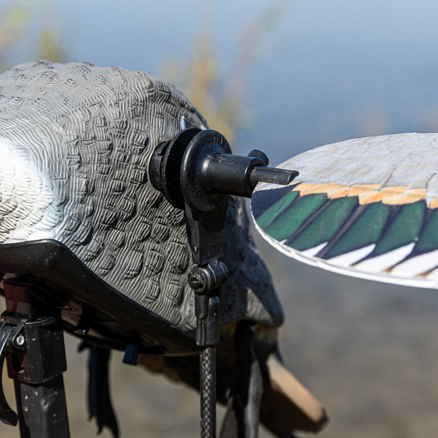 Mojo Duck Animator Hunting Decoys | Blue Bird Waterfowl – THE ANIMATOR ...